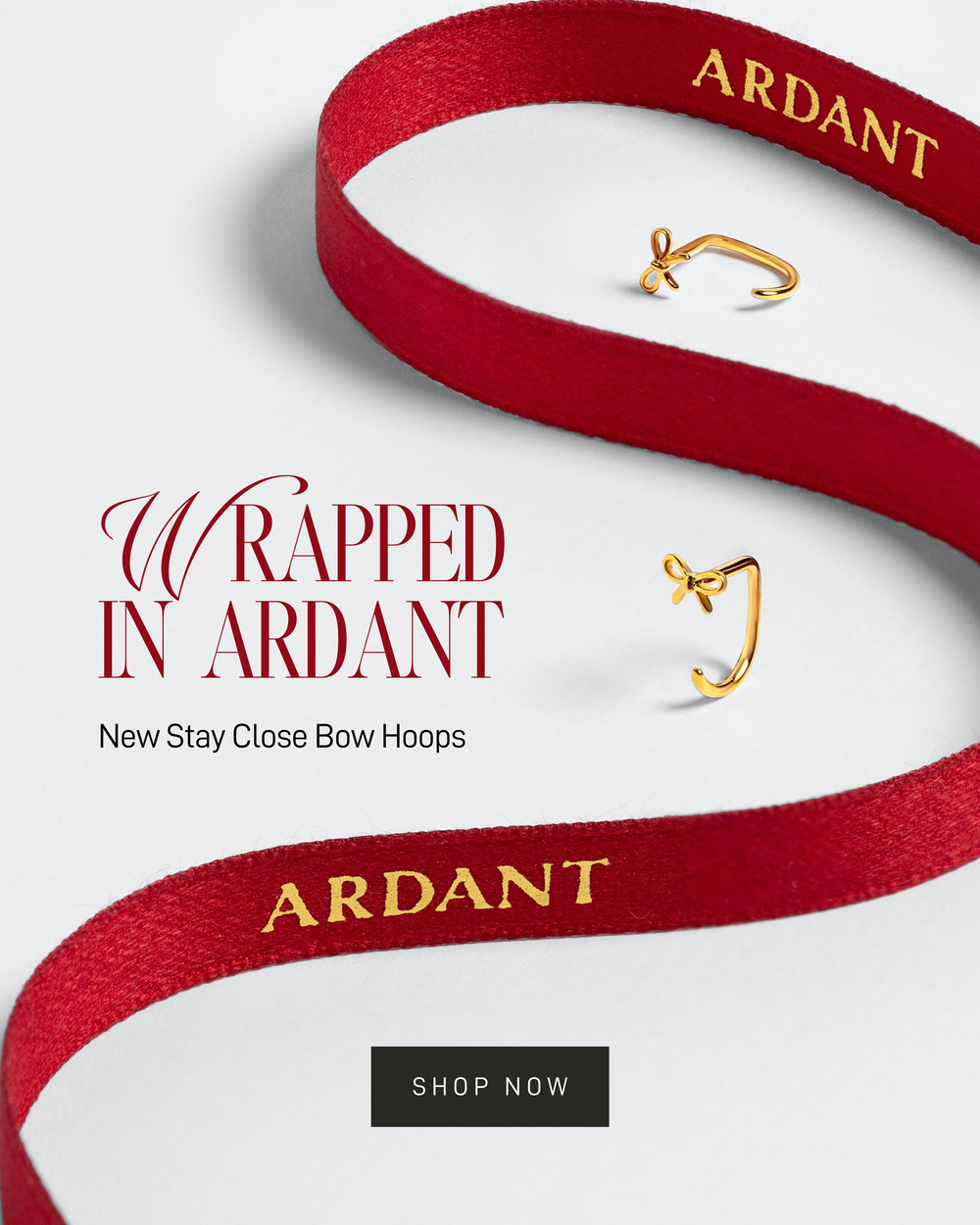 ARDANT | Effortless & Chic Jewelry to Live In - Shop Now